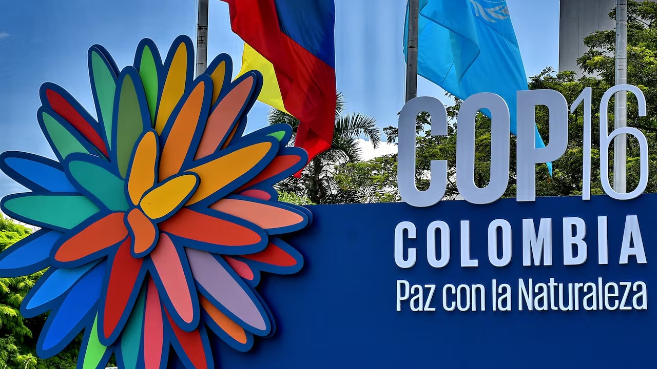 La COP 16: Un Encuentro Clave para el Futuro Sostenible de Colombia ...